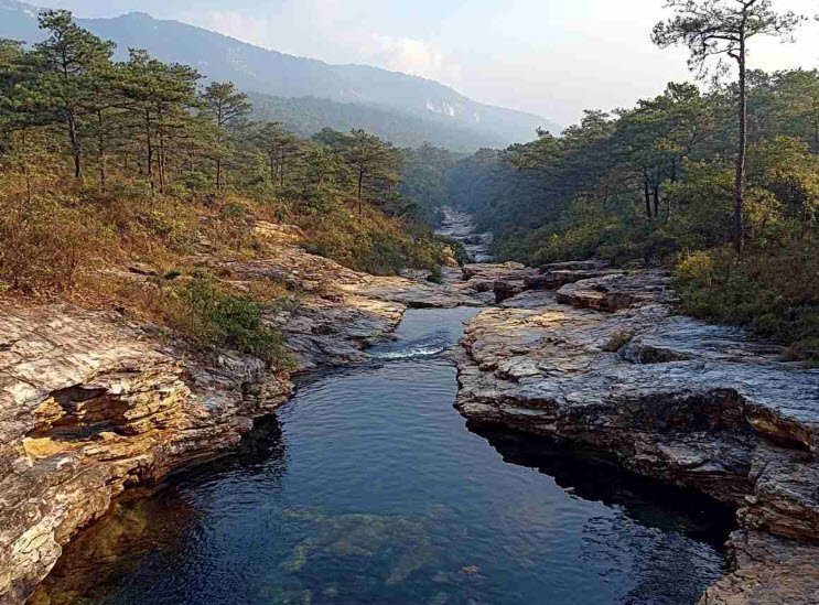 Moyar River, Nilgiris, Tamil Nadu - Vushii.com
