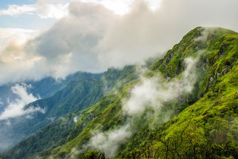 Mount Tempü, Senapati, Manipur - Vushii.com