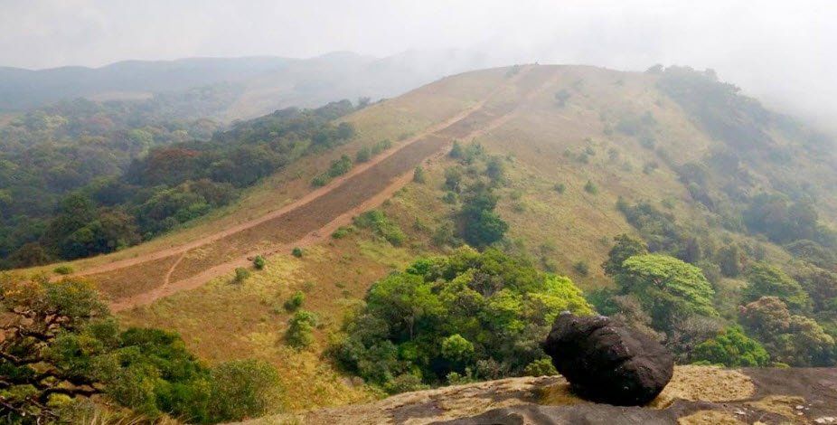 Pakshi Pathalam, Wayanad, Kerala - Vushii.com